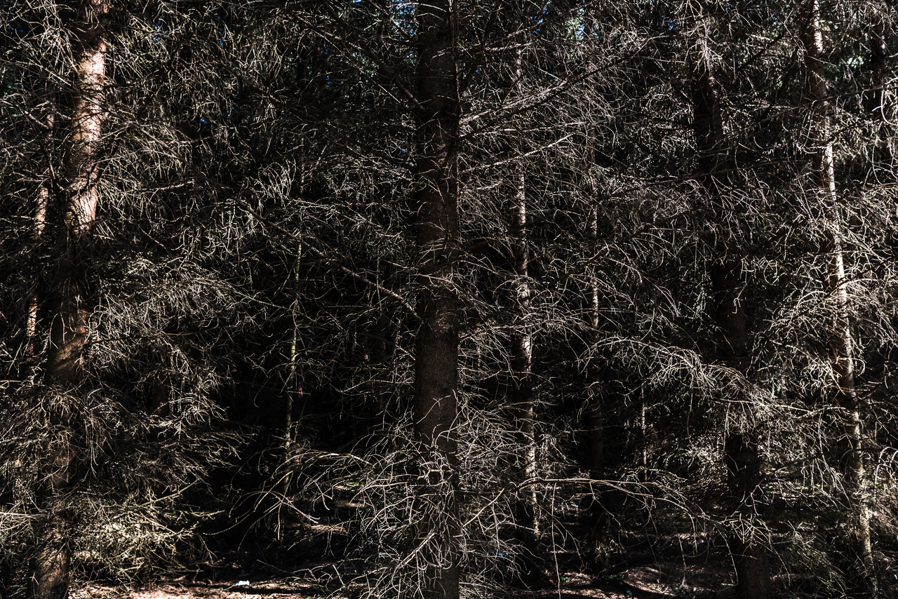 Rob de Groot – Kunst om de Hoek